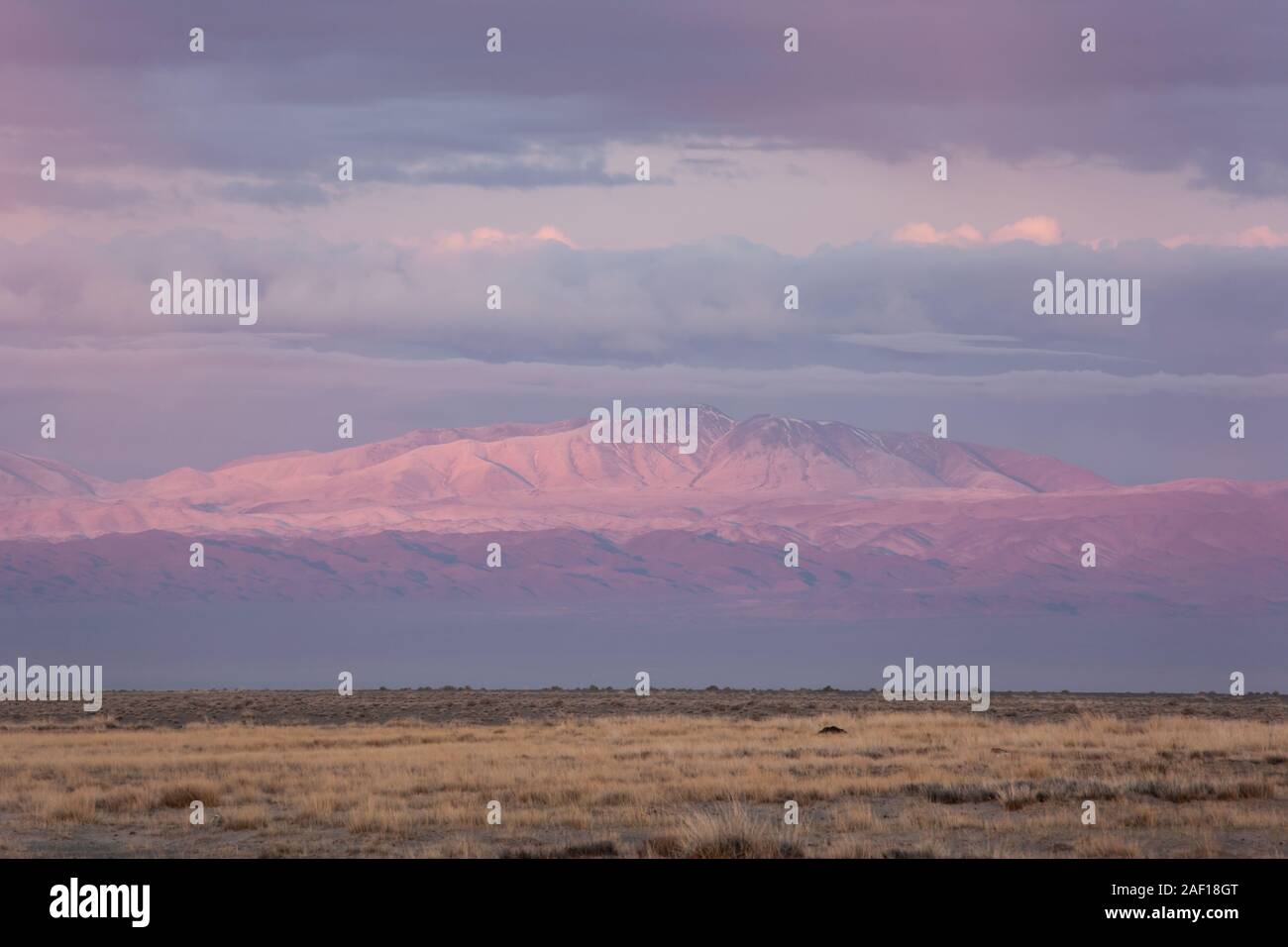 steppe near the mountains. Western Mongolia Stock Photo - Alamy
