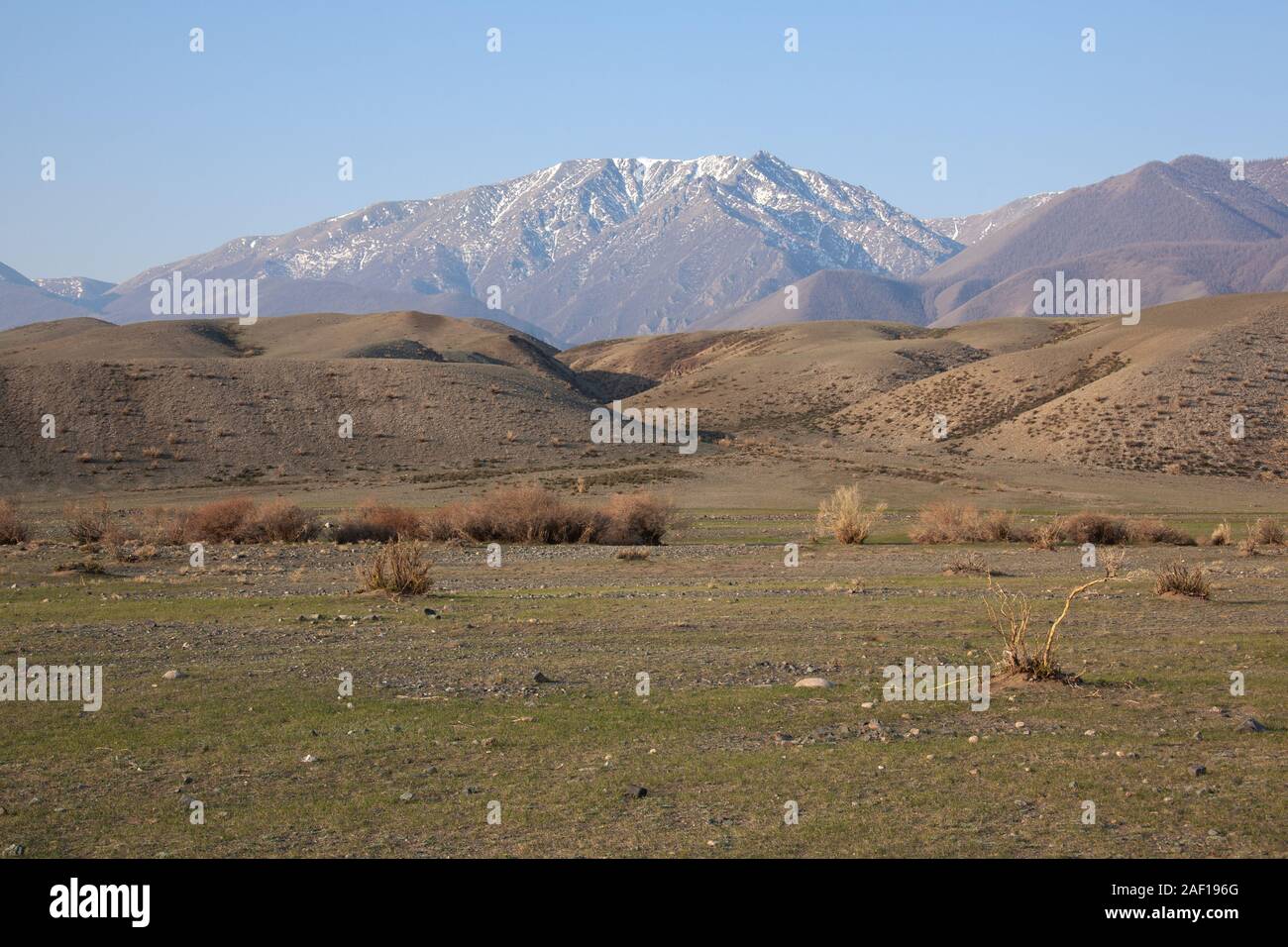 The landscape of the mongolian steppe Stock Photo - Alamy