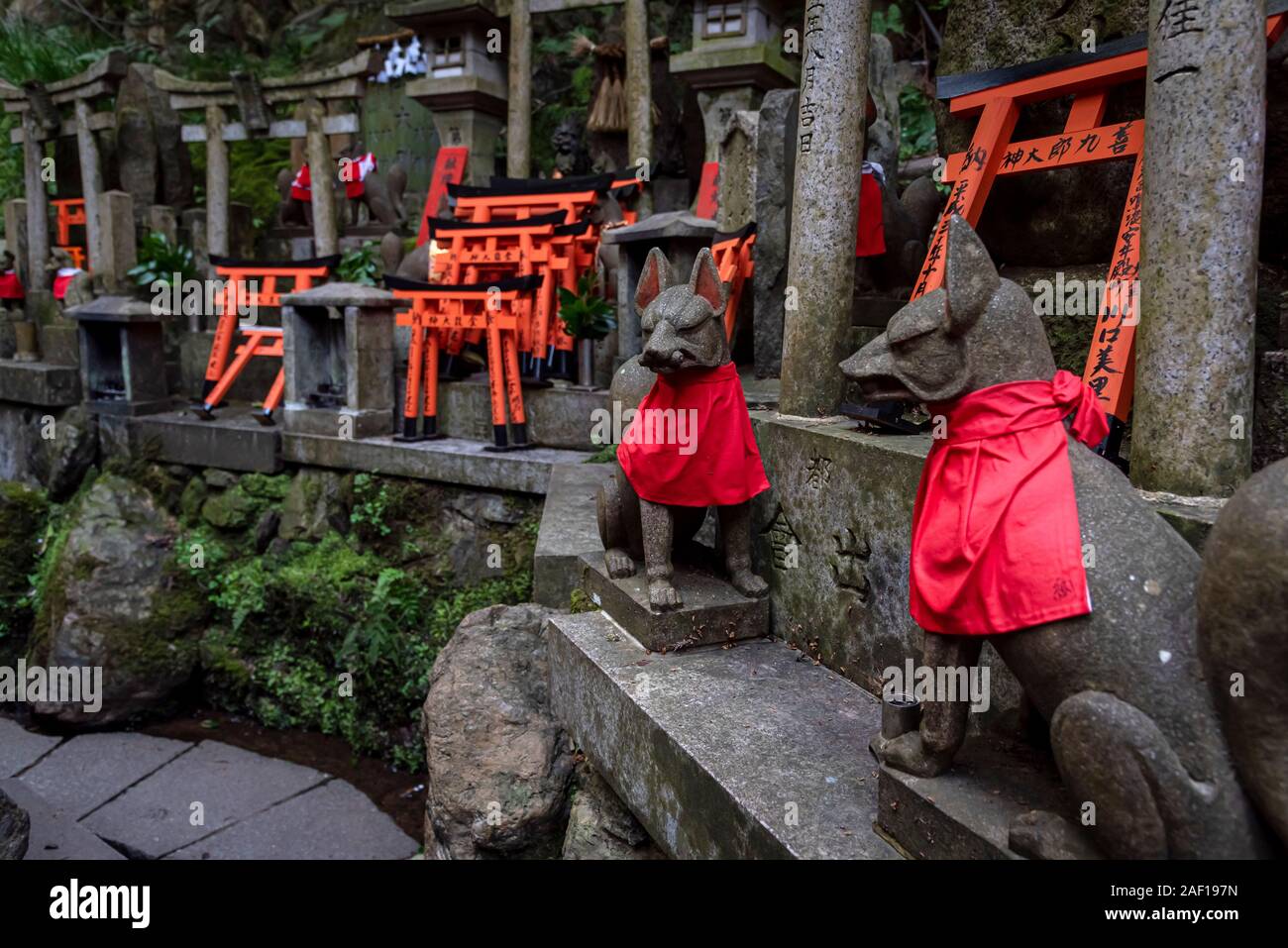 April, 12. 2019: Offerings of red torii gates and fox sculptures ...