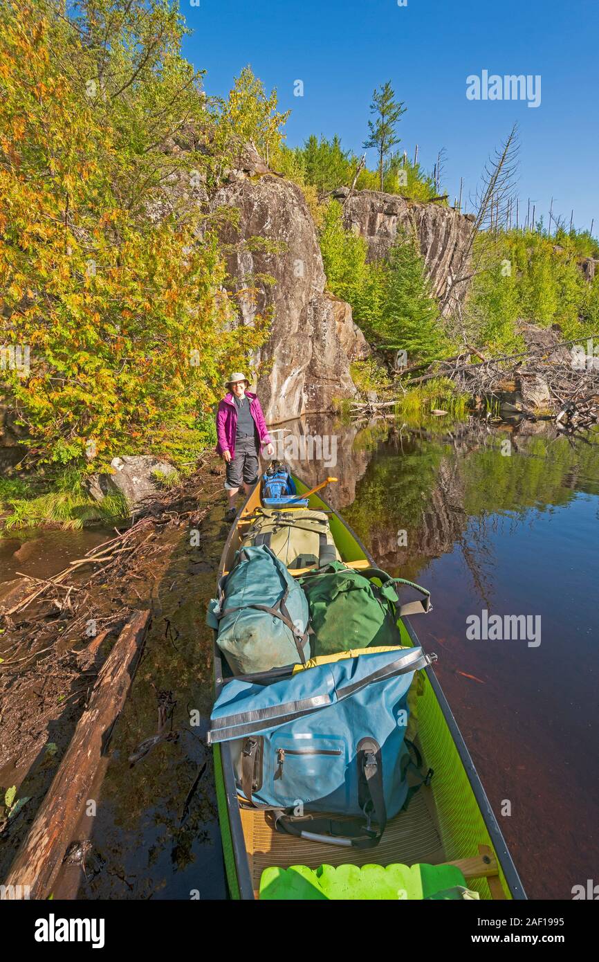 Muskeg hi-res stock photography and images - Alamy