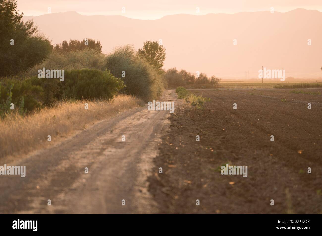 empty dirt road in rural countryside farm agriculture Stock Photo - Alamy