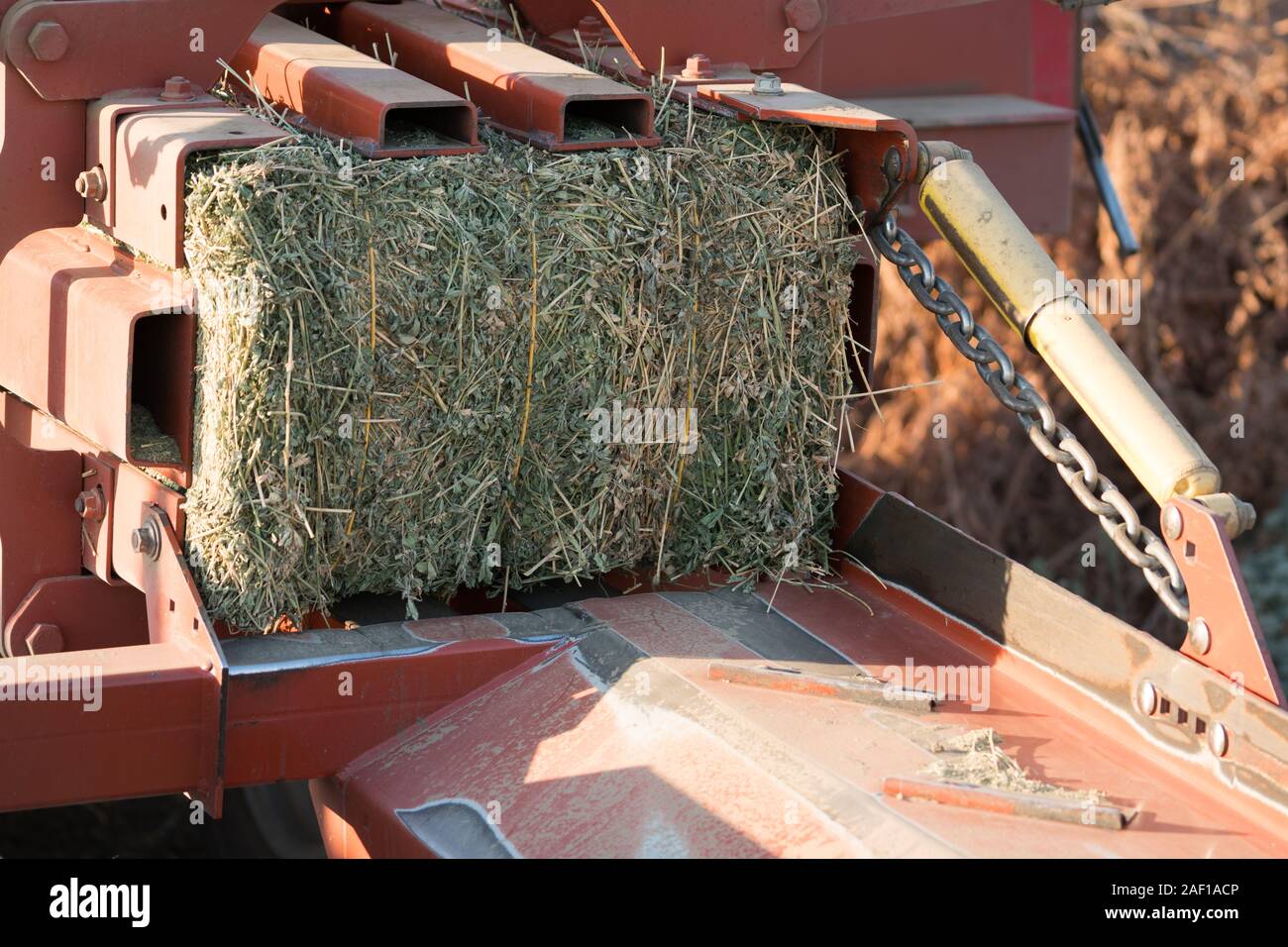 red hay alfalfa bailing tractor with bail finished Stock Photo - Alamy