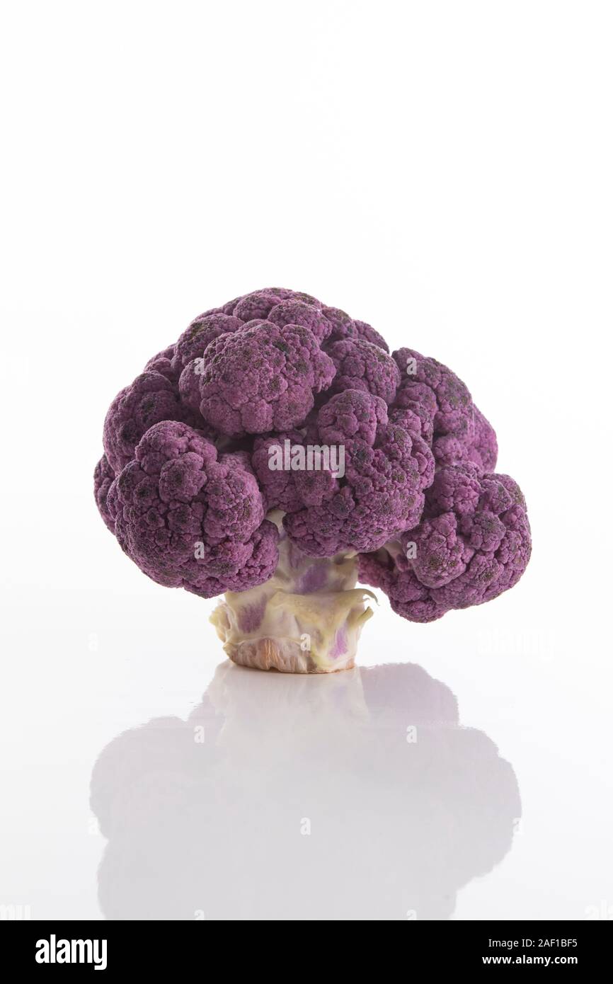 Purple Romanesco Broccoli High Resolution Stock Photography and Images ...