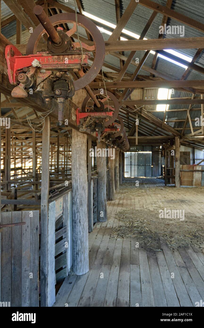 Australian sheep shearing hi-res stock photography and images - Alamy