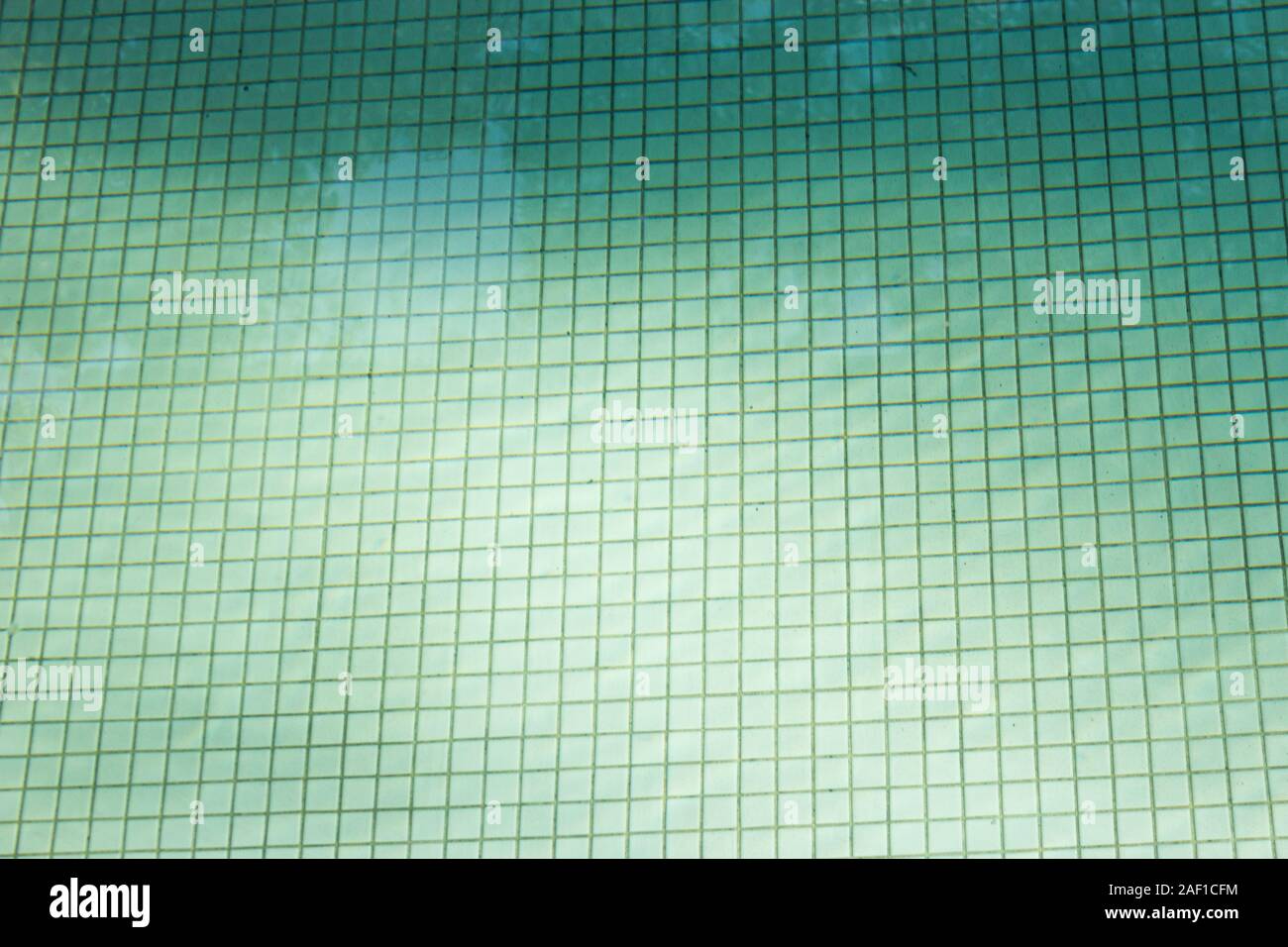 Swimming pool floor background Stock Photo - Alamy