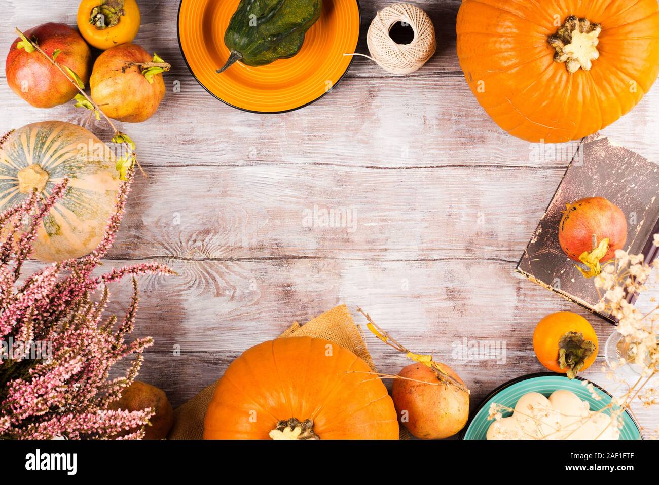 Autumn thanksgiving moody background with different pumpkins, fall ...