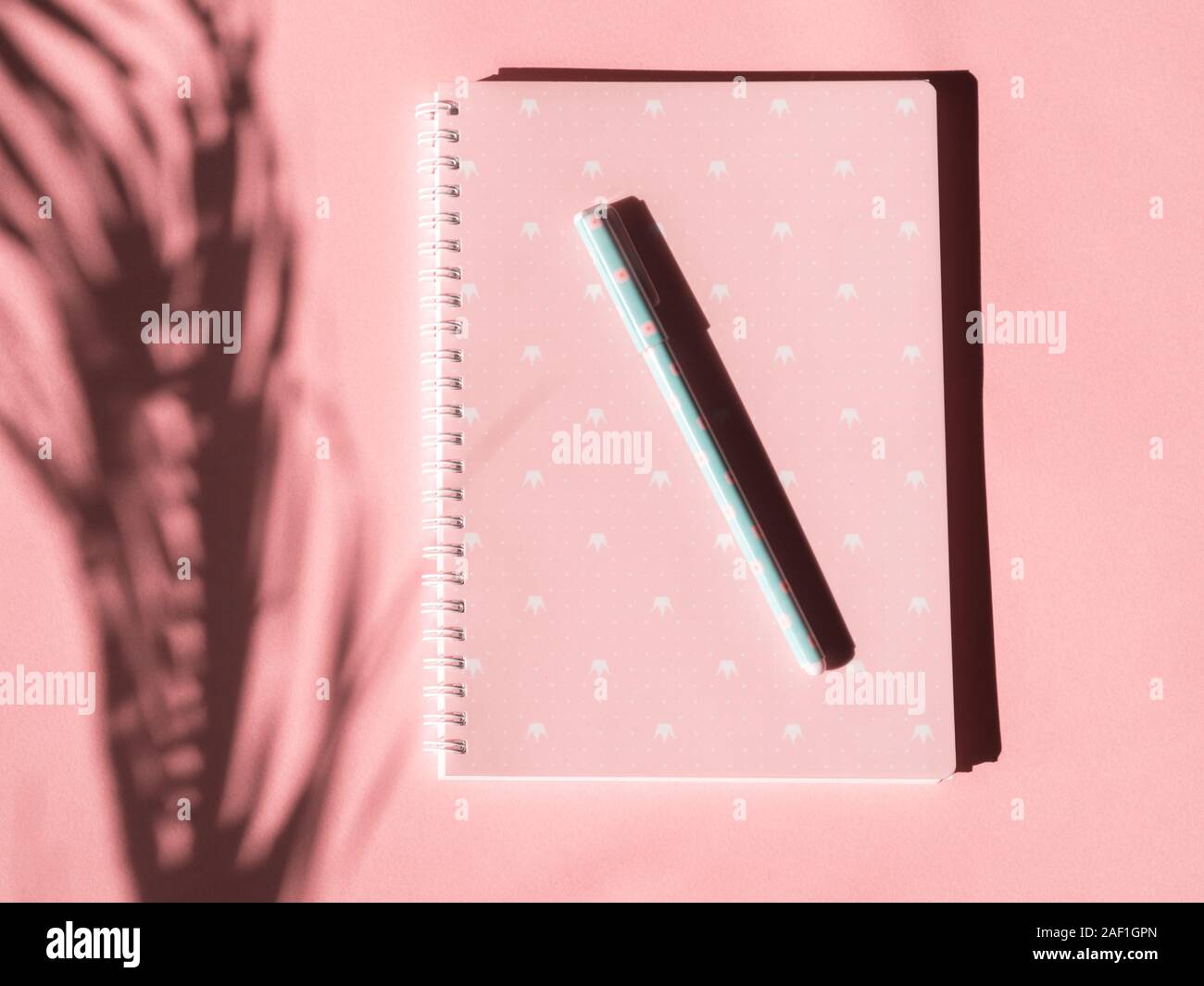 Pink notebook with pen and tropical plant shadow on pink background ...
