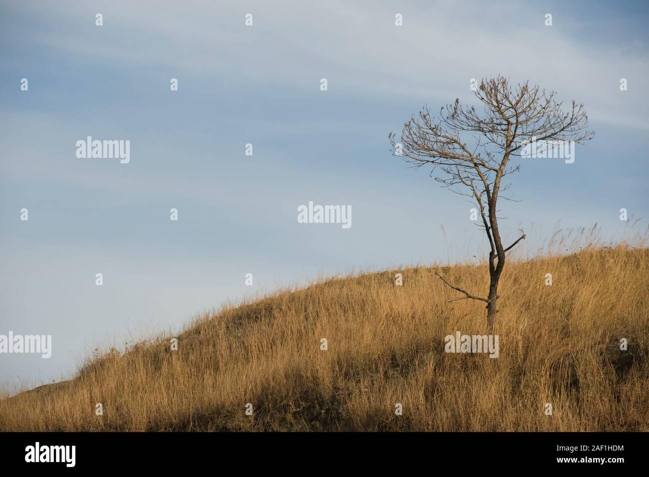 Vietnam land dalat hi-res stock photography and images - Alamy