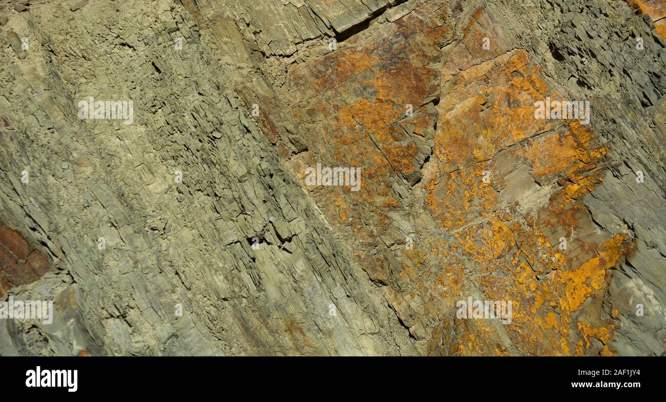 Slate texture on slate-phyllite metamorphic rock. Nature background ...