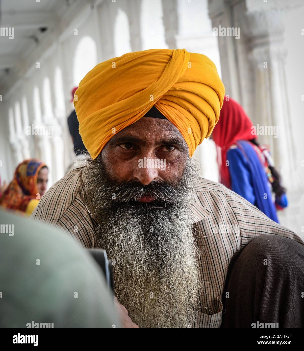 Portrait beard rajasthan golden india hi-res stock photography and ...