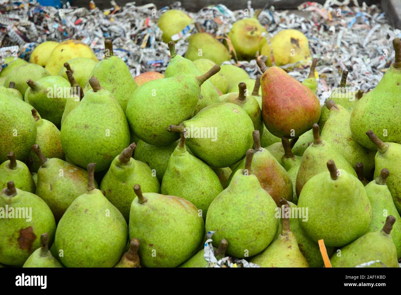 Pears at the local market in Amritsar, India Stock Photo - Alamy