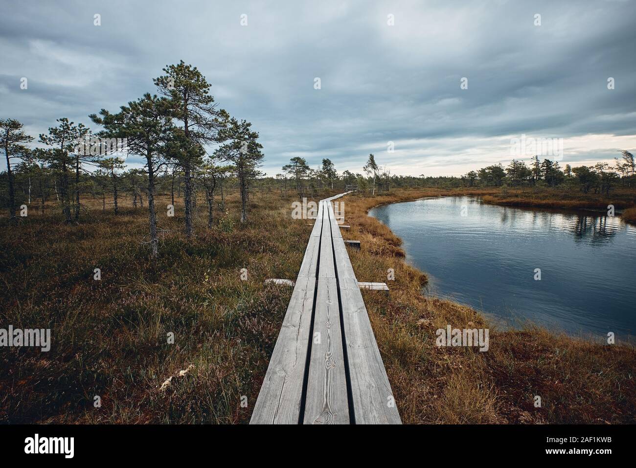 The Landscape of Bog / Wetland Area Around The Great Bog Trail of ...