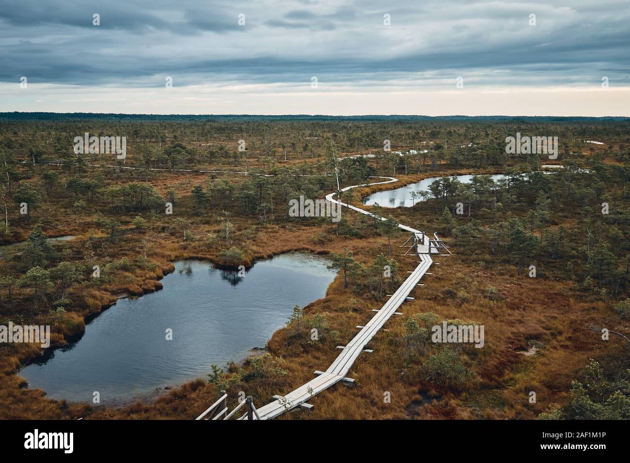 The Landscape of Bog / Wetland Area Around The Great Bog Trail of ...