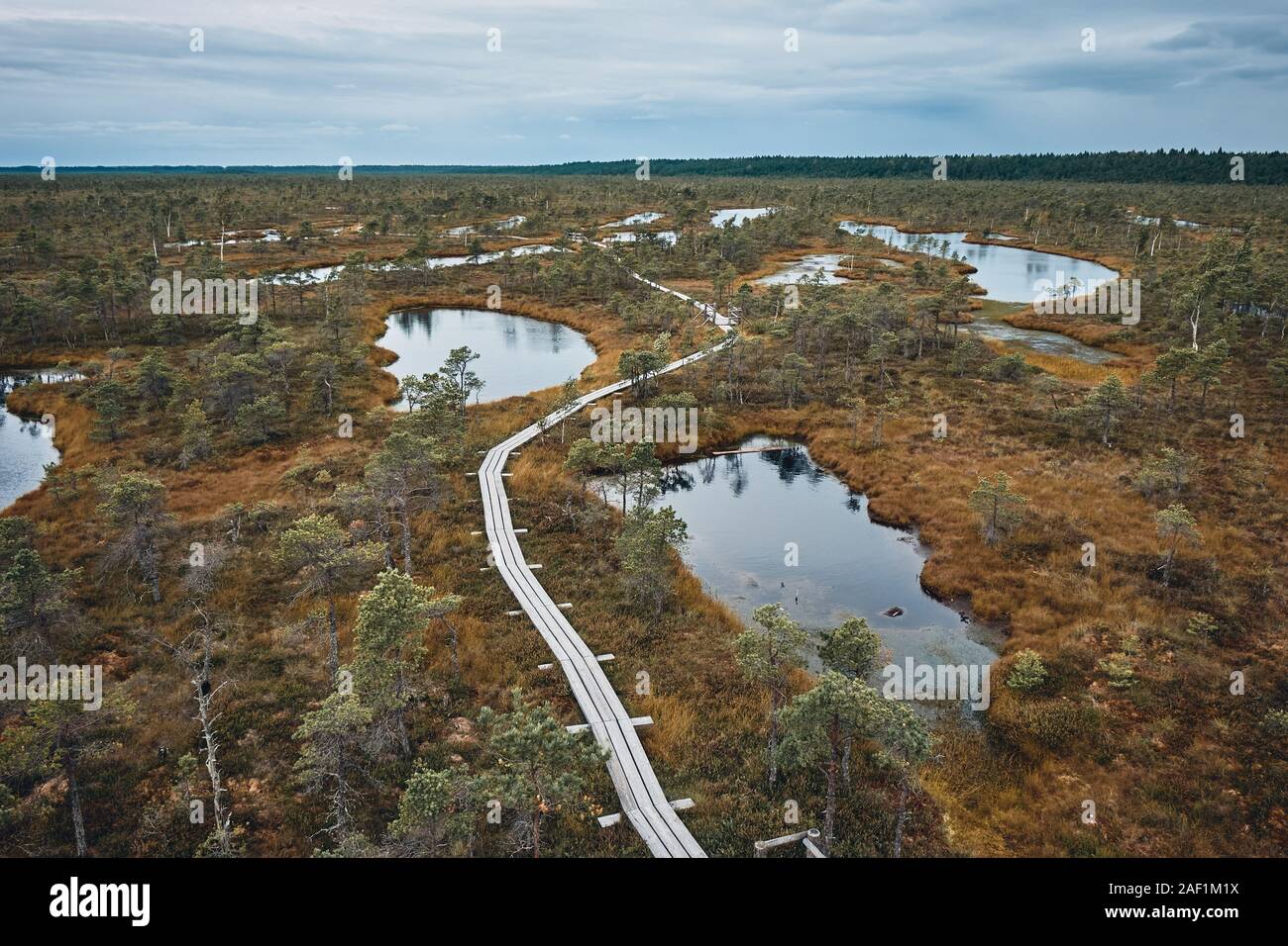 The Landscape of Bog / Wetland Area Around The Great Bog Trail of ...