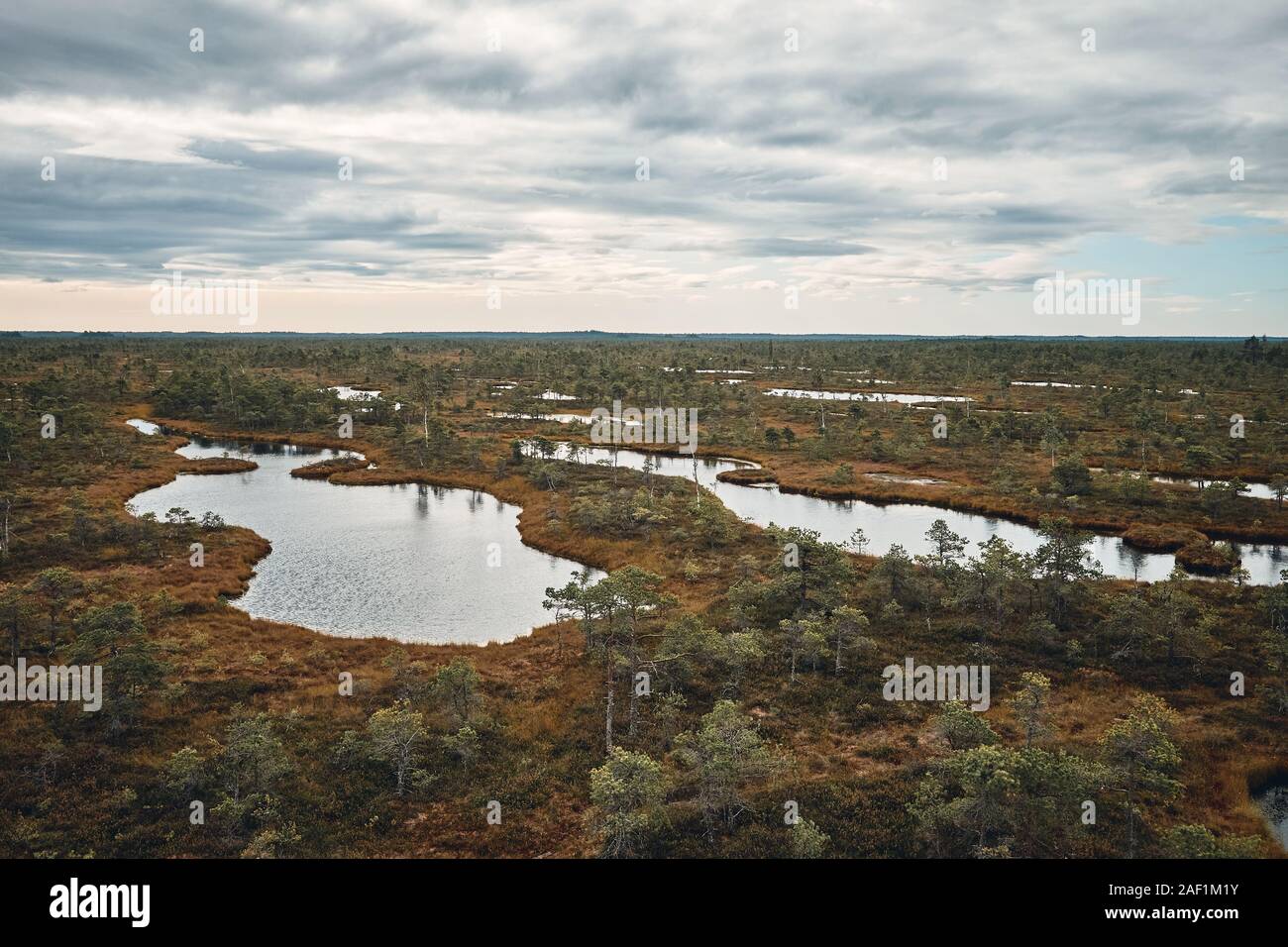 The Landscape of Bog / Wetland Area Around The Great Bog Trail of ...