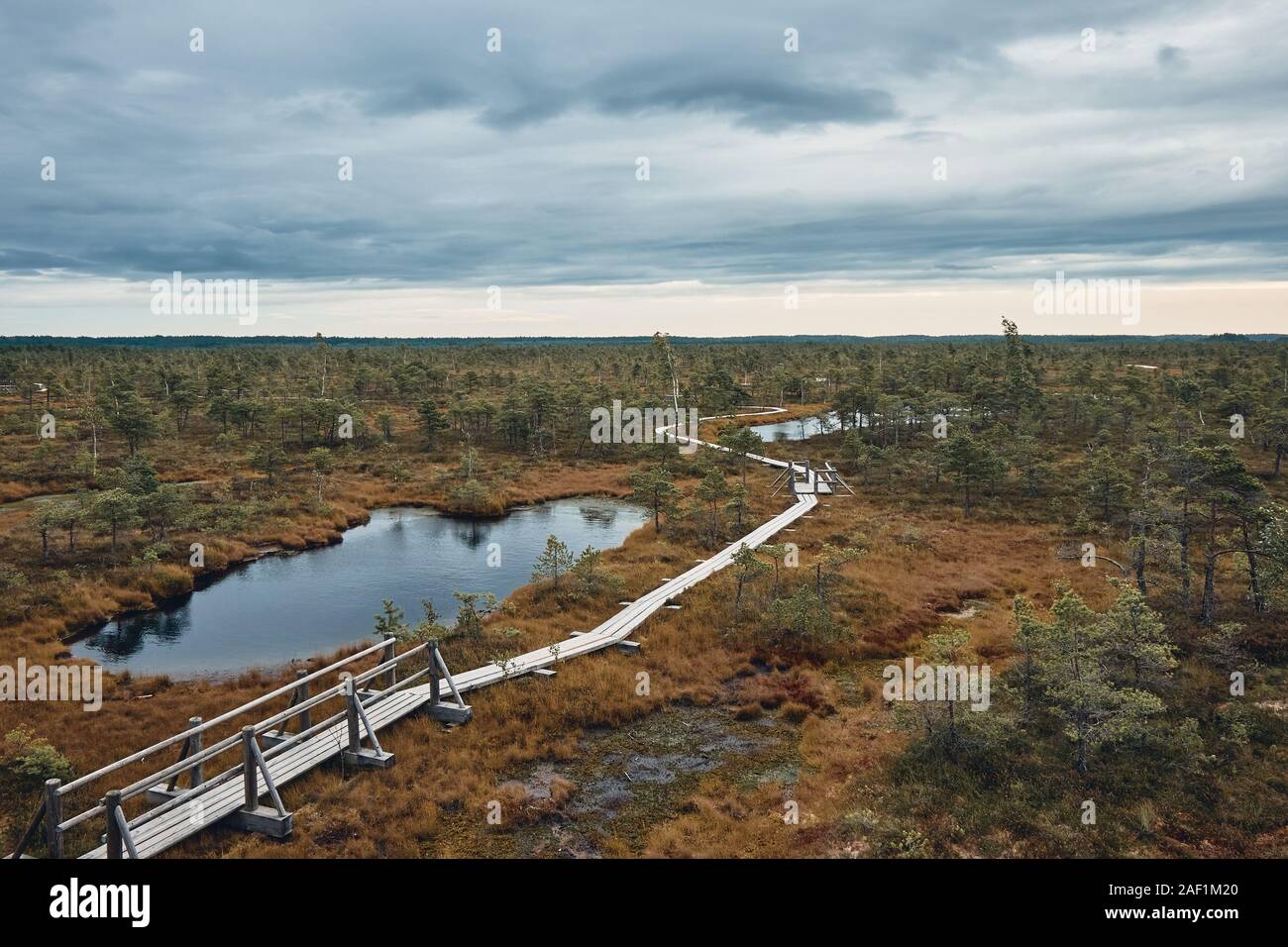 The Landscape of Bog / Wetland Area Around The Great Bog Trail of ...