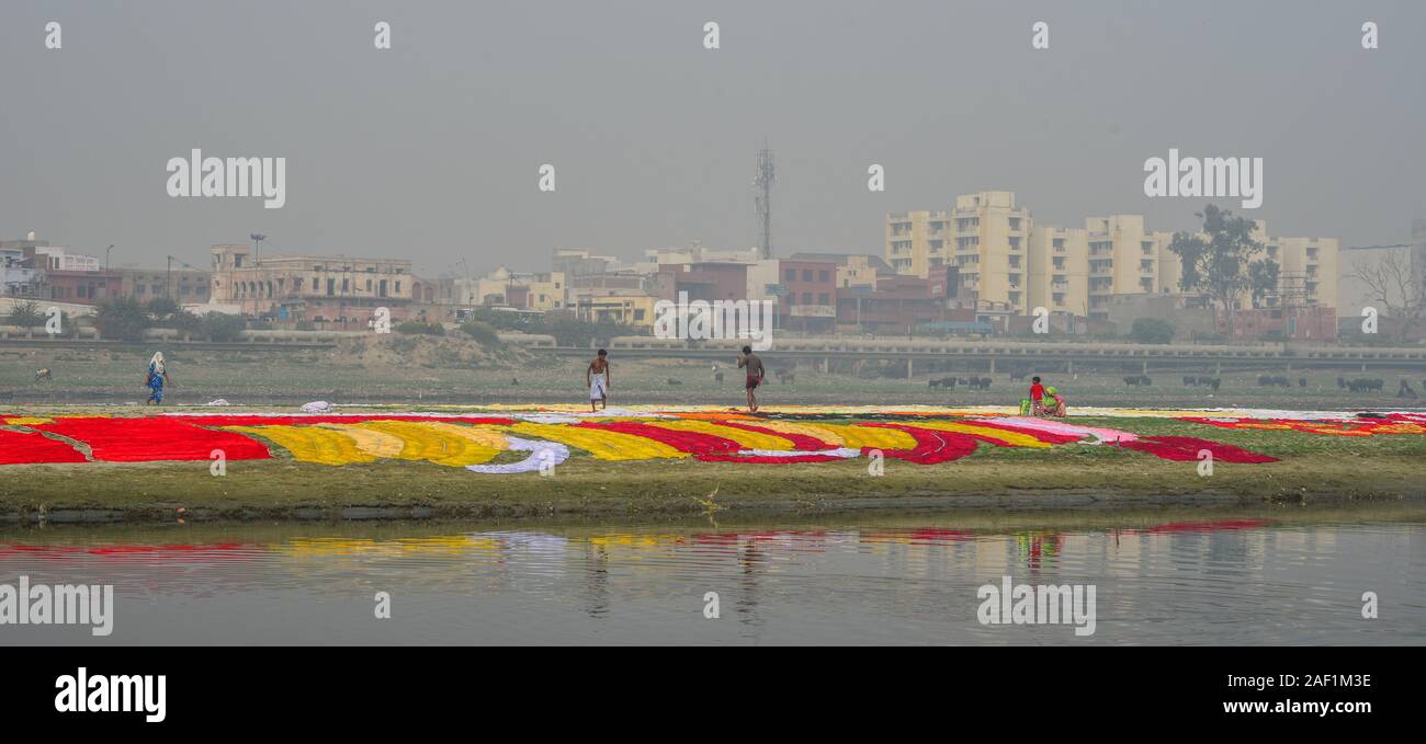 Agra, India - Nov 12, 2017. People washing and drying colorful sarees ...