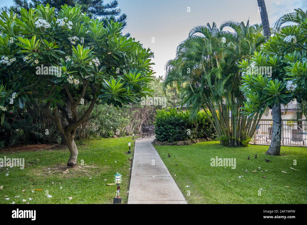 Well maintained walkway hi-res stock photography and images - Alamy