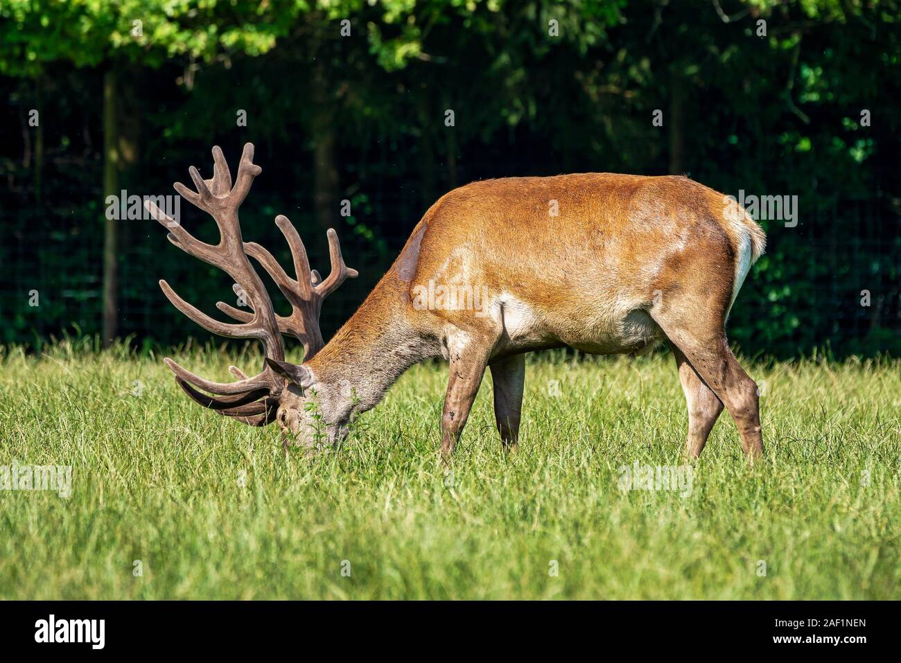 German nature park hi-res stock photography and images - Alamy