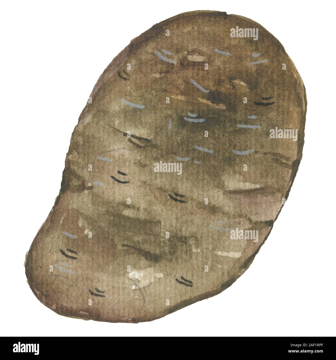 Potatoes illustration. Isolated white background. ights and shadows ...