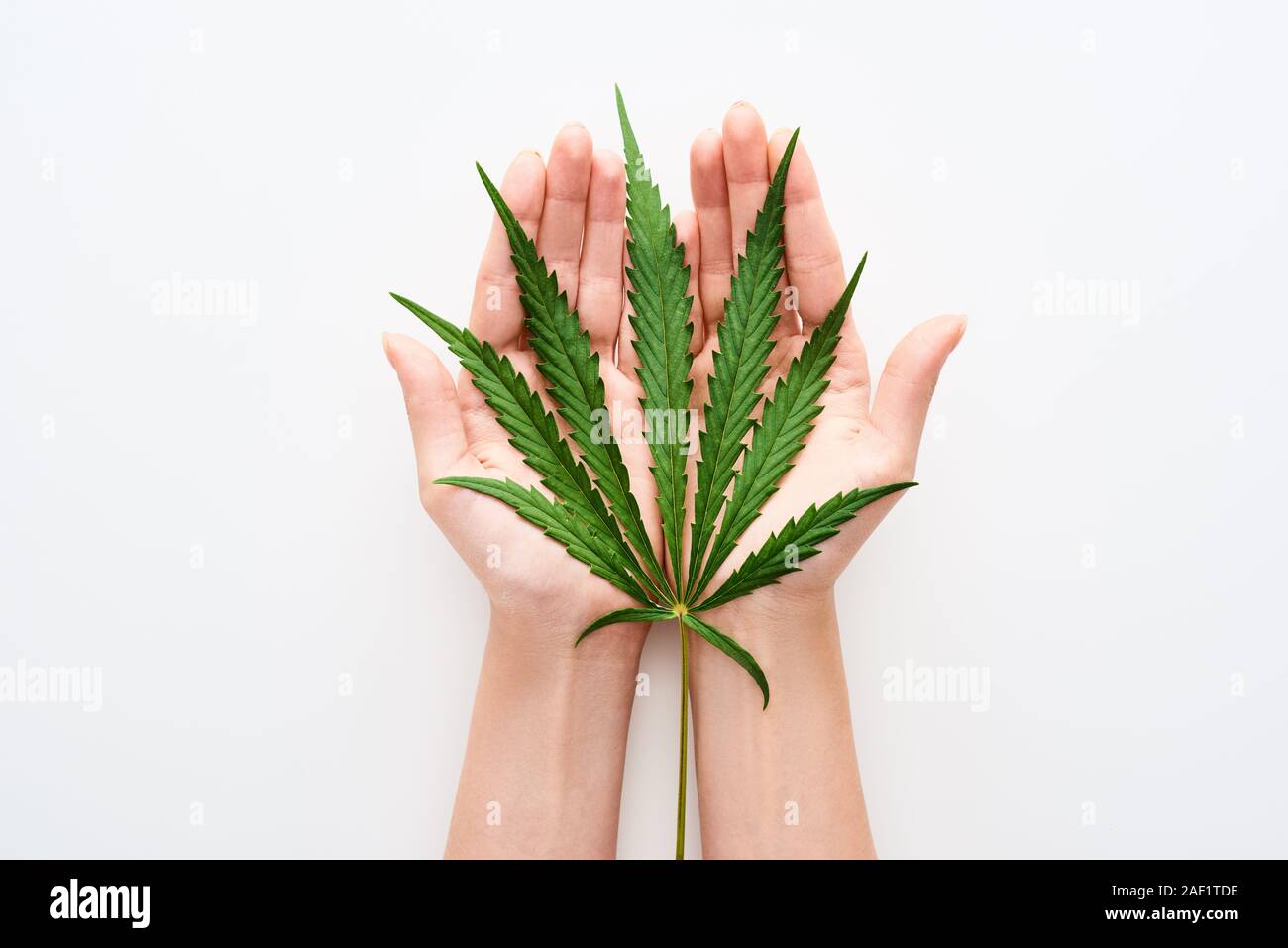 Leaf in hands hi-res stock photography and images - Alamy