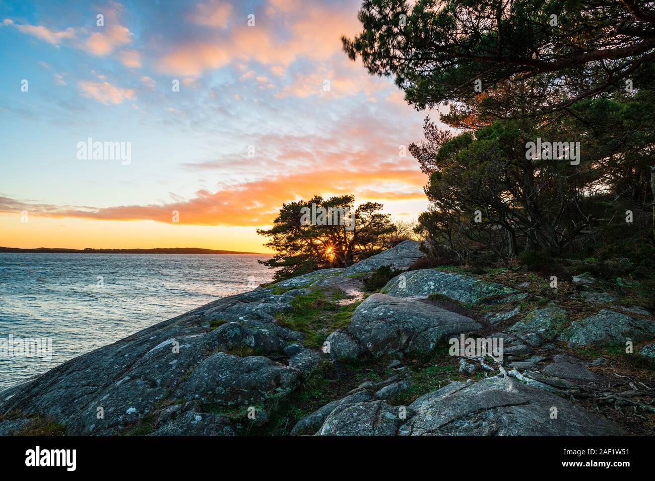 Sky sea tree hi-res stock photography and images - Alamy
