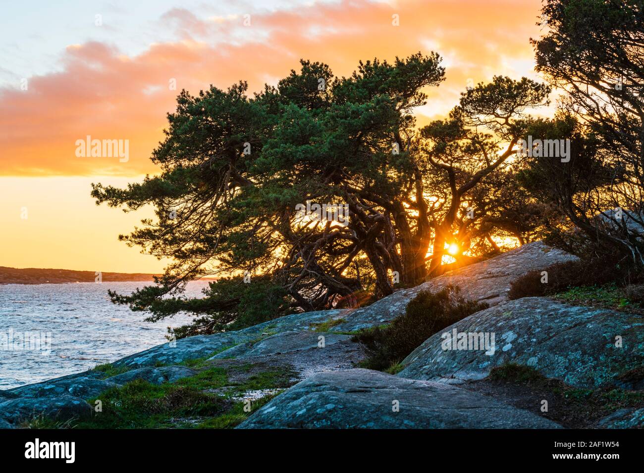 Sea water back light hi-res stock photography and images - Alamy