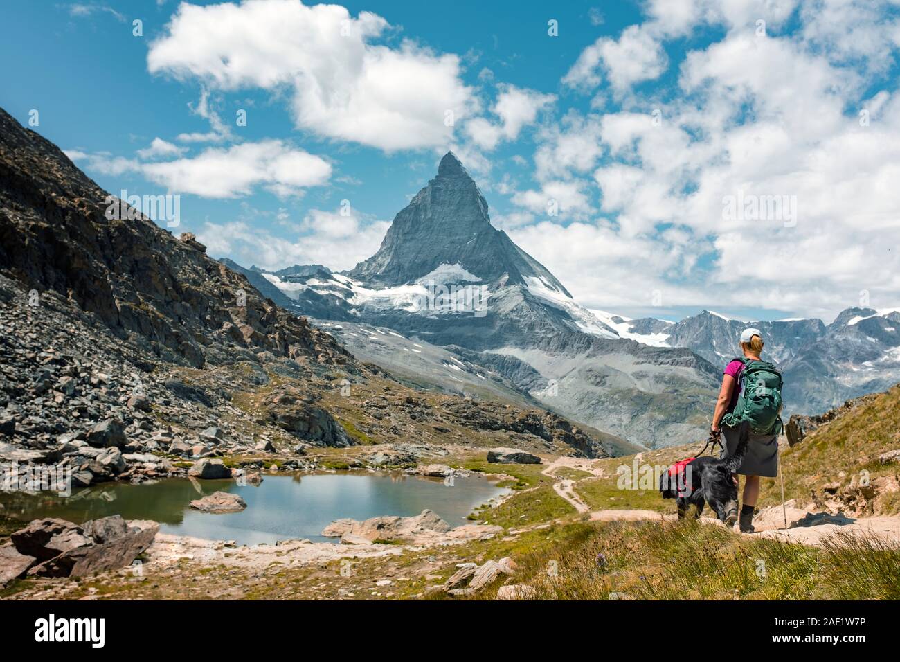 Hiking with animals hi-res stock photography and images - Alamy