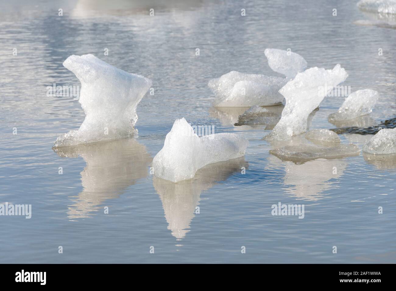 Small Icebergs in Fjallsarlon Glacier lake, Iceland Stock Photo - Alamy