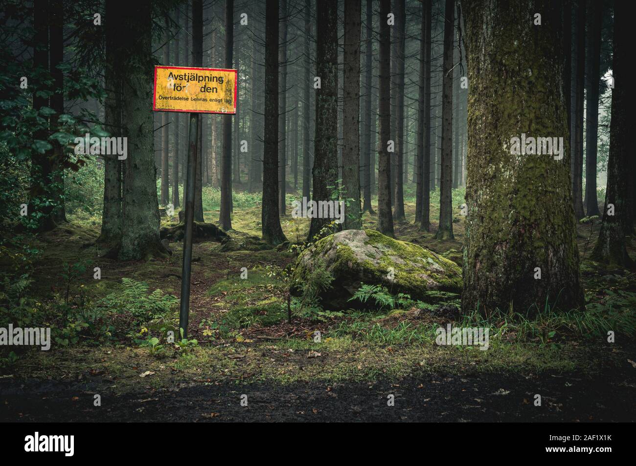 Sign in forest Stock Photo - Alamy