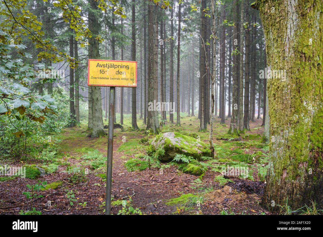 Sign in forest Stock Photo - Alamy