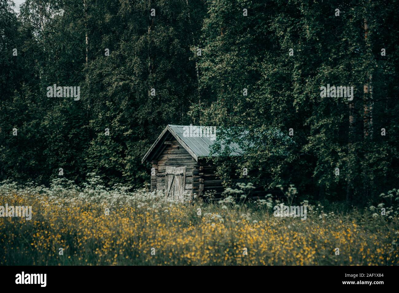Log hut near forest Stock Photo - Alamy