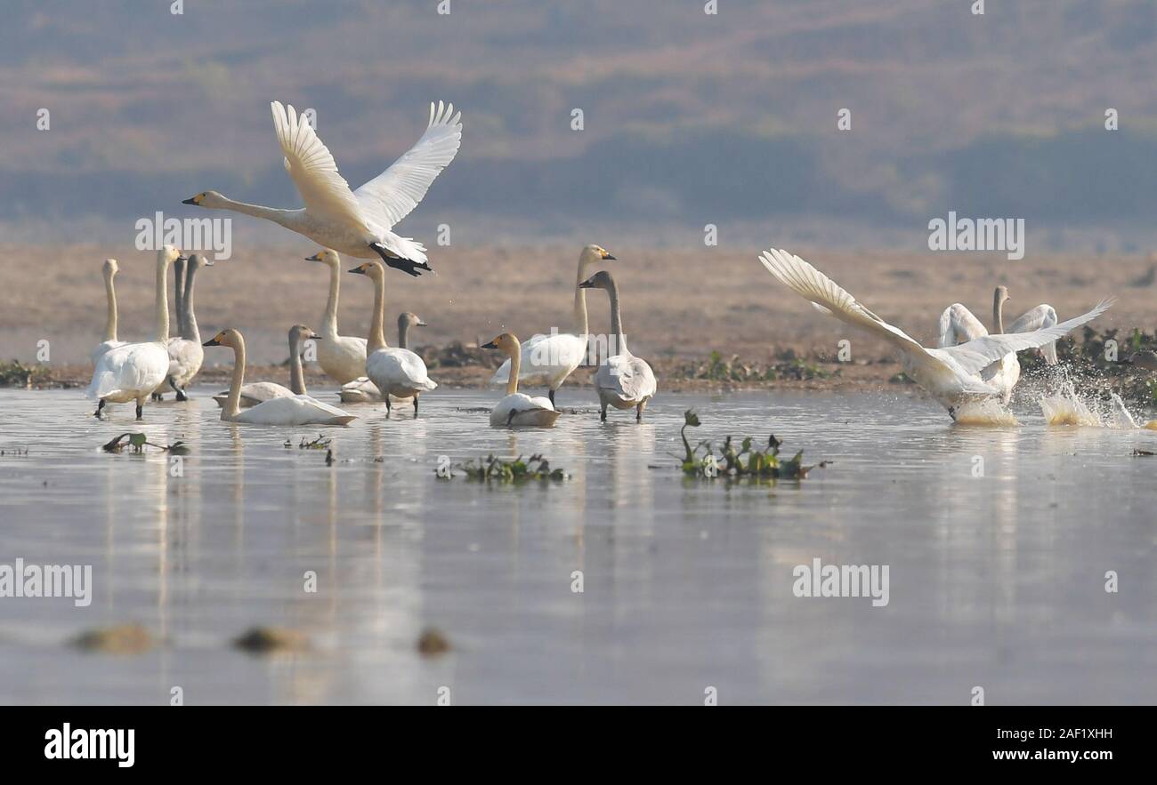 Fuhe river hi-res stock photography and images - Alamy