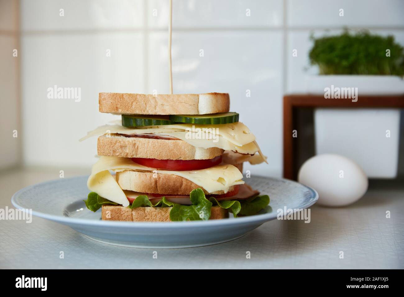 Layered sandwich on plate Stock Photo - Alamy