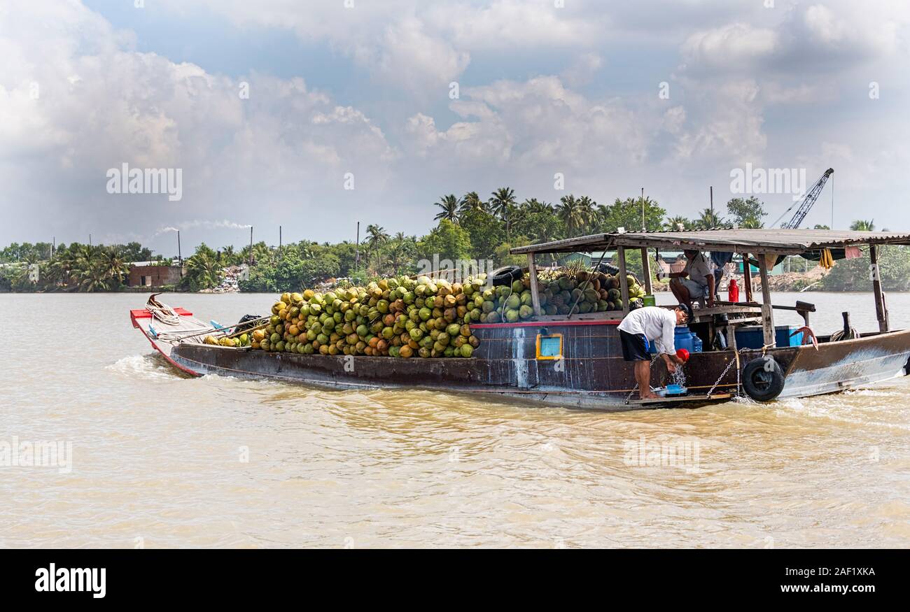 Transporting coconuts hi-res stock photography and images - Alamy