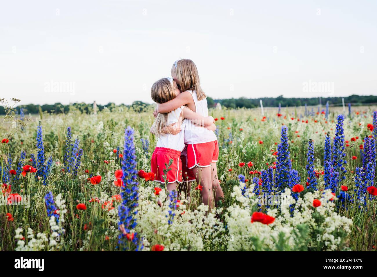 Sisters hugging on meadow Stock Photo - Alamy