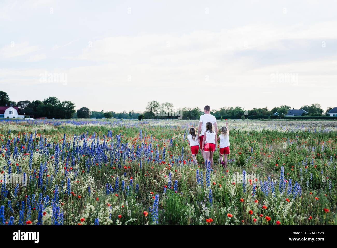 Family walking through meadow Stock Photo - Alamy