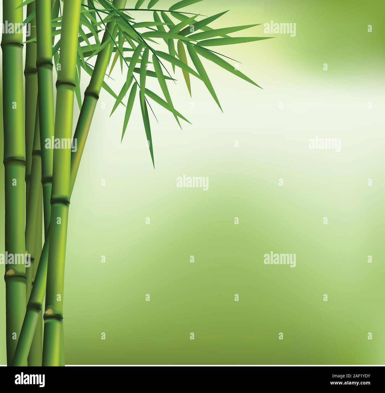 Bamboo Grove Stock Vector Images - Alamy