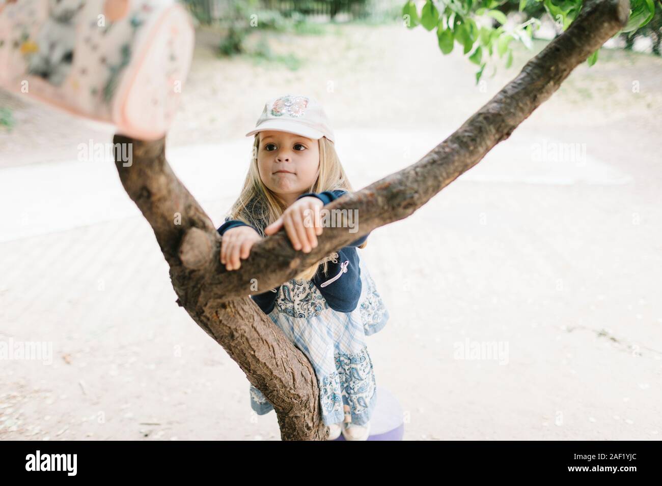 People climbing tree hi-res stock photography and images - Alamy