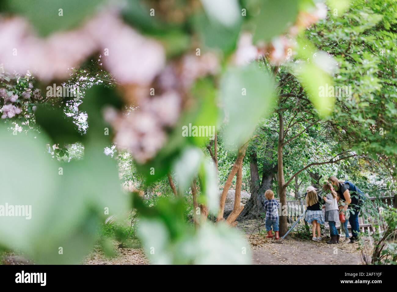 Teacher with children outside Stock Photo - Alamy