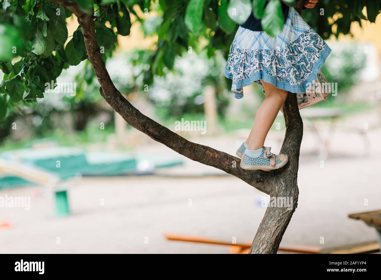 Girl climbing tree Stock Photo - Alamy