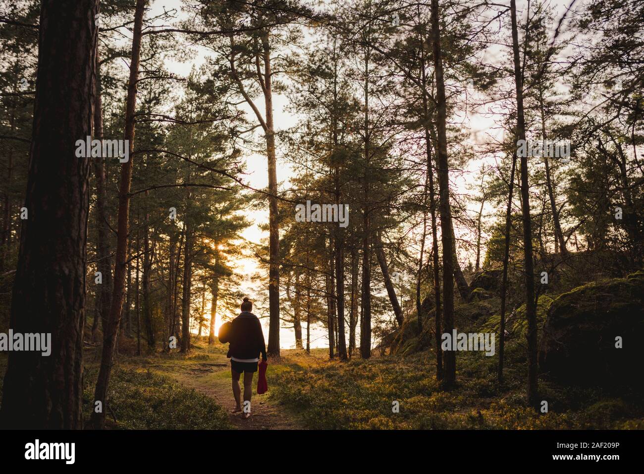 Forest walking hi-res stock photography and images - Alamy