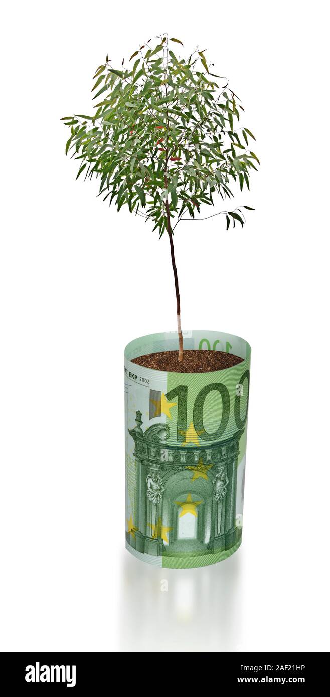 tree growing from euro bill Stock Photo - Alamy