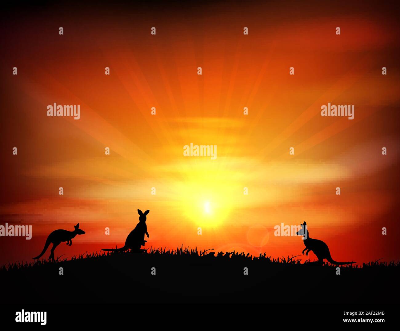 Illustration of Kangaroo on sunset. vector illustration Stock Vector ...
