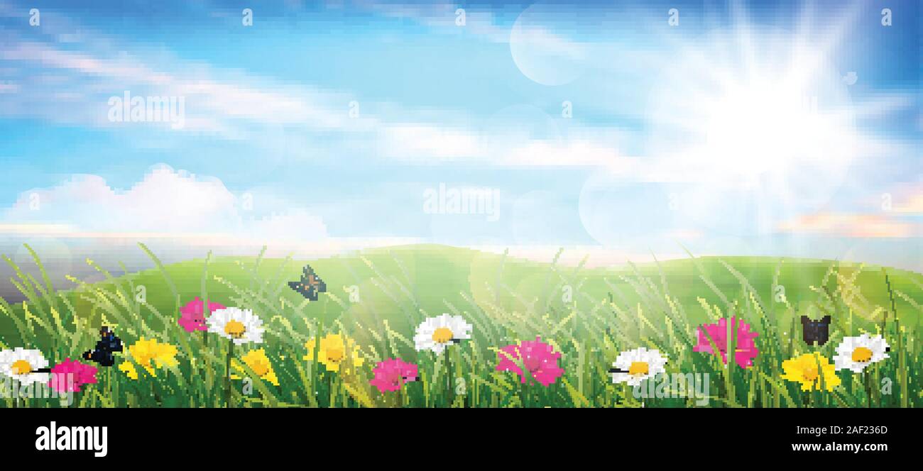 Beautiful spring meadow colorful flowers. vector illustration Stock ...