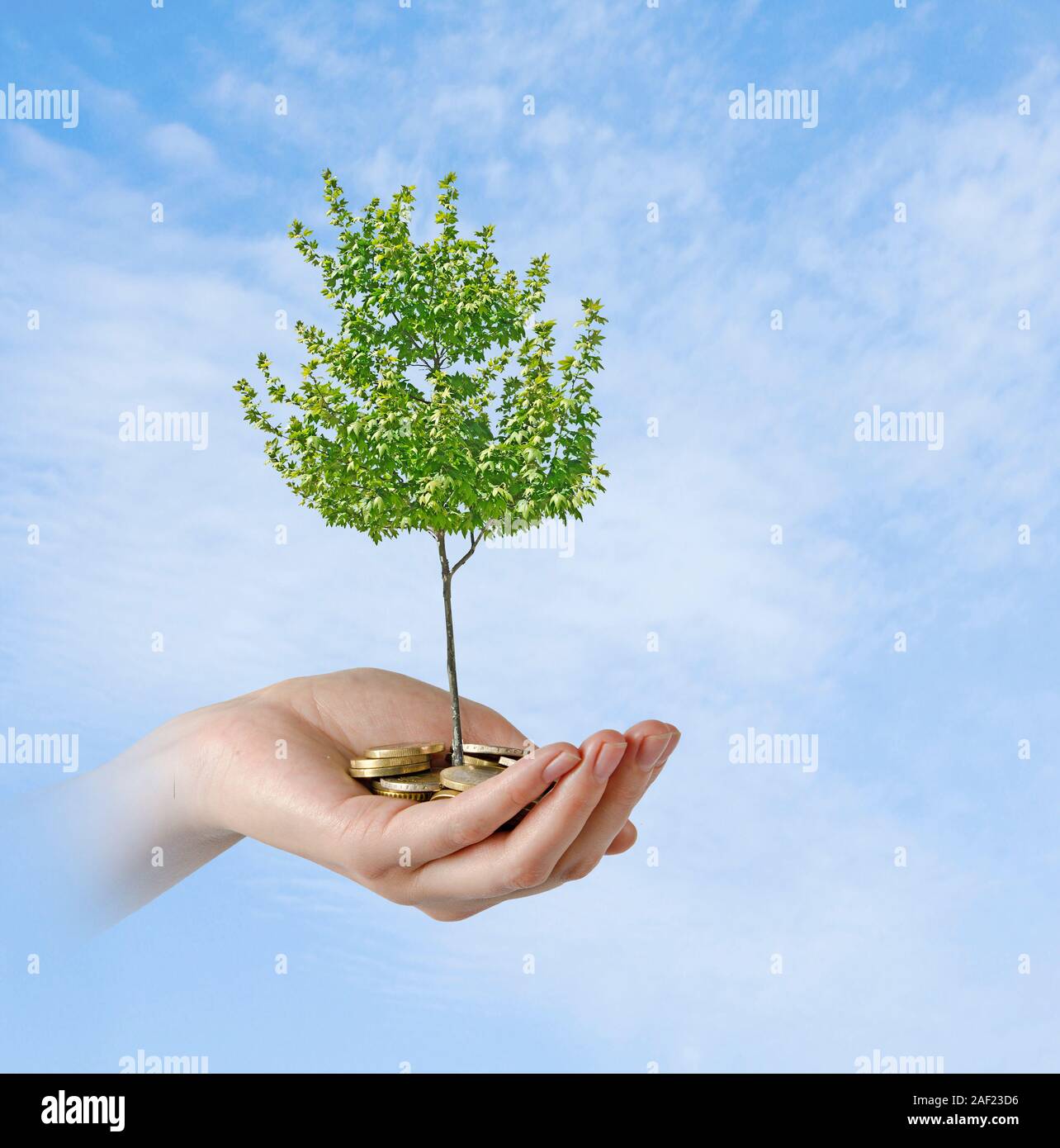 Palm with a tree growng from pile of coins Stock Photo - Alamy