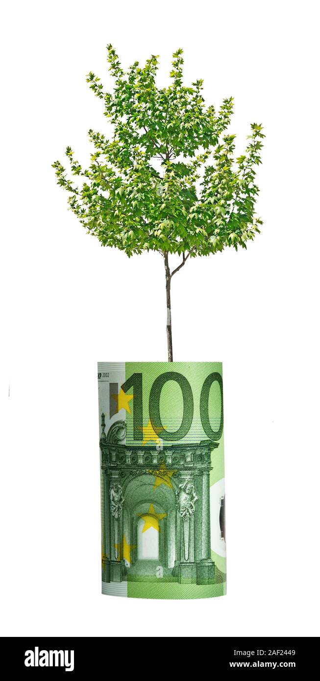 tree growing from euro bill Stock Photo - Alamy