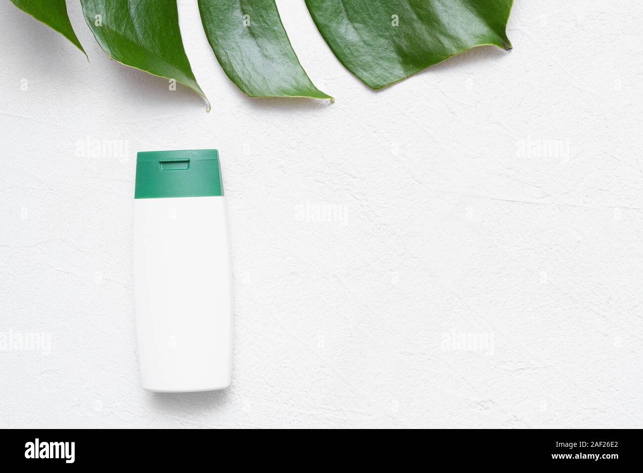 Sunblock or suntan cream bottle and green leaf over white background ...