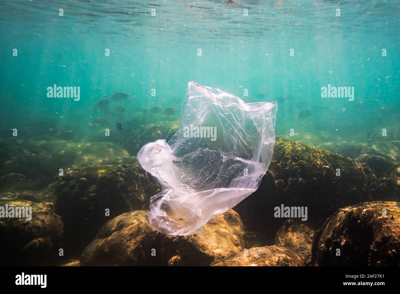 Plastic bag beach hi-res stock photography and images - Alamy