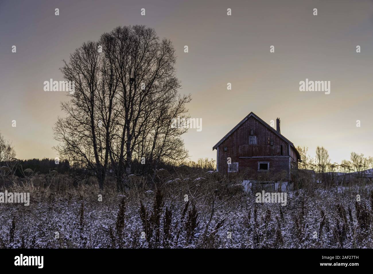 snow in autumn, october 2019 | usage worldwide Stock Photo - Alamy